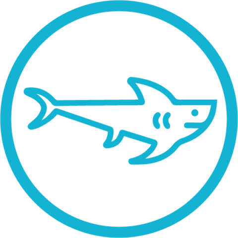 Group Swim Lessons - Ridge Athletic Clubs